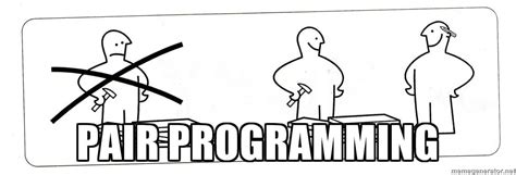 Pair Programming : r/ProgrammerHumor