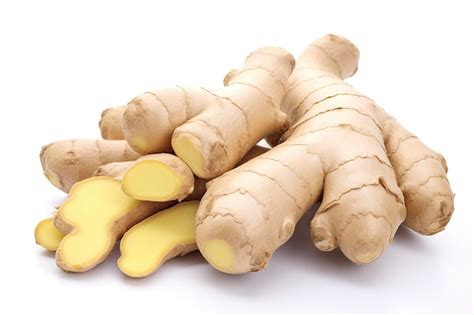 Premium AI Image | Rhizome isolated on white background