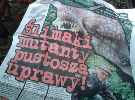 Najbardziej drastyczne okładki tabloidów - Joe Monster