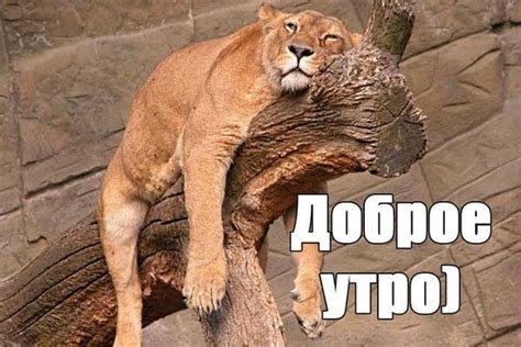 Покажи Прикольные Фото — Картинки