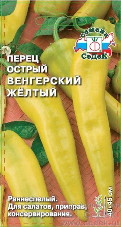 Золотая сотка алтая