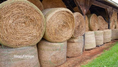 It’s time to break out the forage abacus | Hay and Forage Magazine