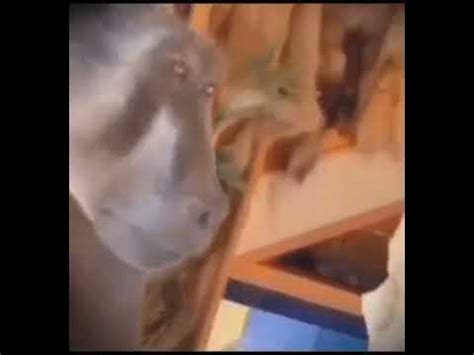 СУПЕРХИТ - YouTube