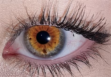 I never know what to answer when asked about my eye colour, what woud you say? : r/eyes