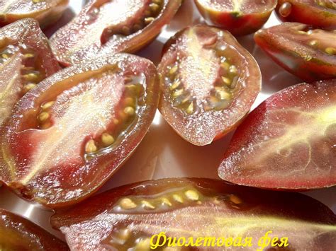 Томат Фиолетовая фея: описание сорта, отзывы, фото tomatland.ru