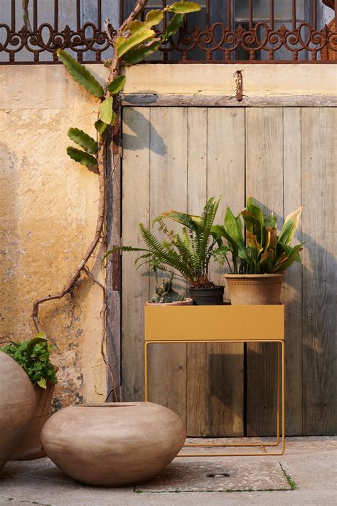 Plant Box – April & The Bear