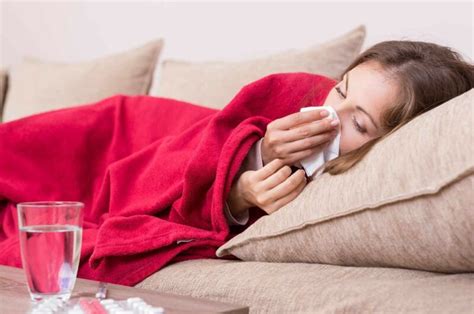 2025 Coldaway C Fiyat - Nasıl Kullanılır?