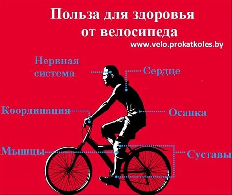 Чем больше ездить на велосипеде тем больше пользы для здоровья)# ...