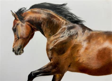Bonny Snowdon | Explore Vibrant Creativity — Art and Color 365