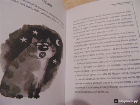 Книга: Как понять свою кошку - Наталья Дьякова. Купить книгу, читать ...