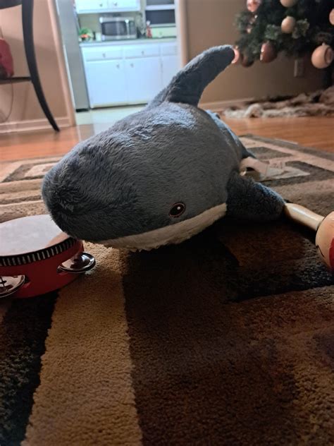 Blahaj Be Jammin Out : r/BLAHAJ