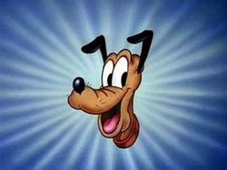 Pluto - Série TV 1937 - AlloCiné