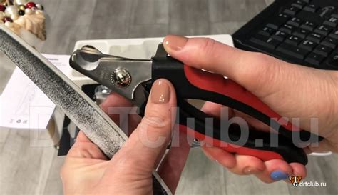 Когтерез для собак: какой лучше выбрать и как пользоваться
