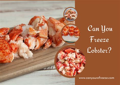 Can You Freeze Lobster? Know This Before Freezing Lobsters! - Can You Refreeze