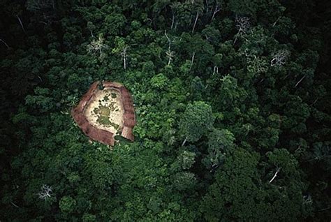 Cryptoforestry: Shabonos / Shaponos / Malokas in the Amazon