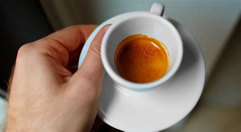 Elevate Your Espresso with These Stylish Demitasse Cups - Bean Ground