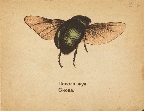 «Приключения жука». В. Маклецова