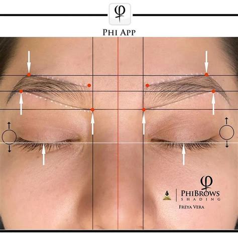 Eyebrow Mapping Tips and Tricks – The Best Outline for Every Client | Eyebrow guide, Eyebrows ...