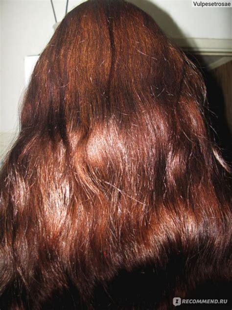 Краска для волос Wella Wellaton - «Отличная краска за 100 рублей (6.77 ...
