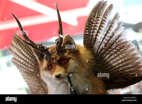 A Wolpertinger in Mittenwald, Germany, 06 August 2013. The Wolpertinger ...