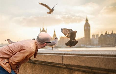 Люди Птицы Фотографии – Telegraph