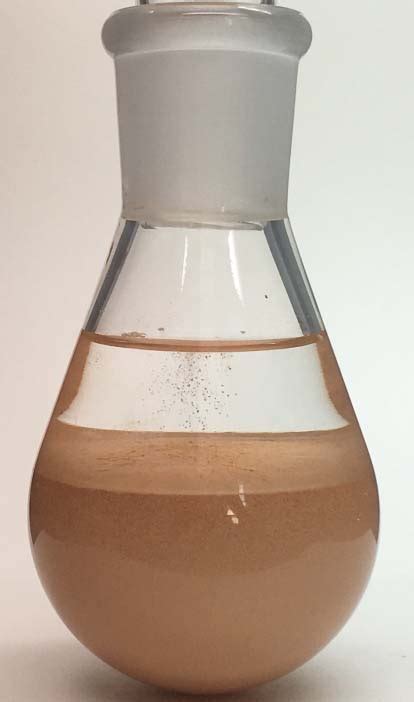 Shake it on foundation - Sensient Beauty