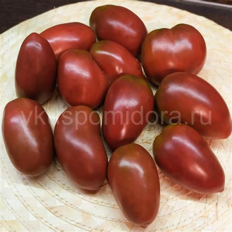 Купить семена томата сорт Гном Альмандин (Dwarf Almandine)