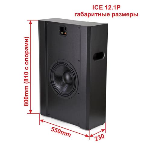ICE 12.1P - пассивный сабвуфер | Купить в магазине Аудиомания