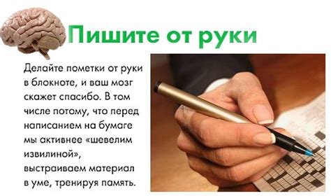 Как улучшить память после 60 лет. Препараты и методы для улучшения памяти