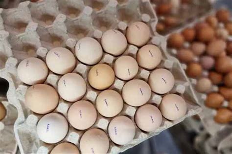Гребінка | Гребінківський міський сайт Grebenka.com