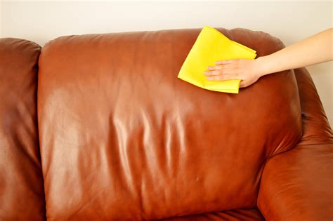 Leder reinigen mit Hausmitteln » So geht's schonend & effektiv