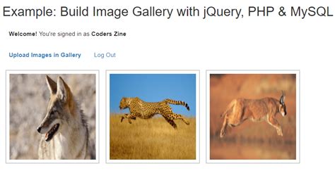 Build Dynamic Image Gallery with PHP & MySQL – Coderszine
