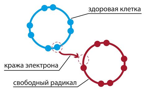 Карнозин для глаз: инструкция по применению, чем заменить