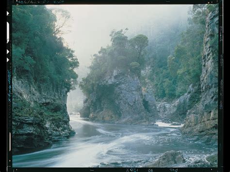 Katia Roemers: Natureza