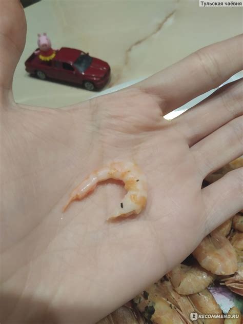 Креветки "Красная цена" Мелкие 1 кг - «🦐 Деликатес от Красной цены ...