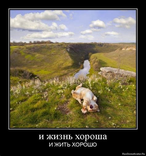Жизнь хороша картинки прикольные