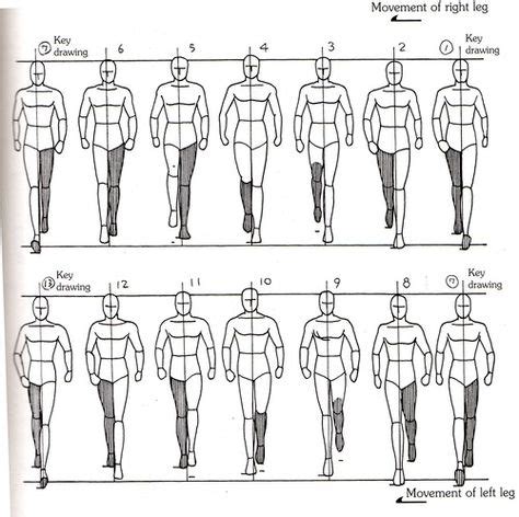 22 Best Walk Cycle Reference ideas | animation reference, animation tutorial, walk cycle reference