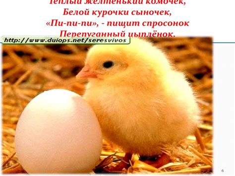 Славься, станица Калужская! - презентация онлайн