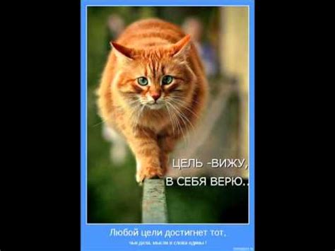 Мотиваторы - YouTube