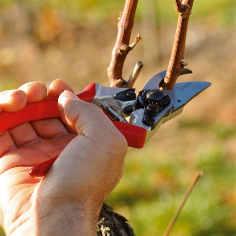 FELCO Model 6 Compact Bypass Secateurs