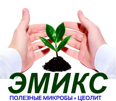 Удобрение и средство для защиты «Эмикс»