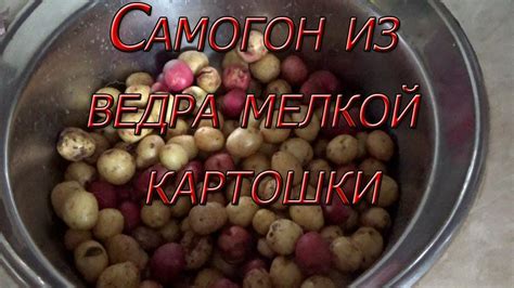 Сколько самогона получится из ведра картошки?Эксперимент... - YouTube