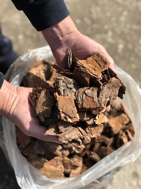 Купить Кора Соснова Середня (4-6 см), цена 120 ₴ — Prom.ua (ID#1788683406)