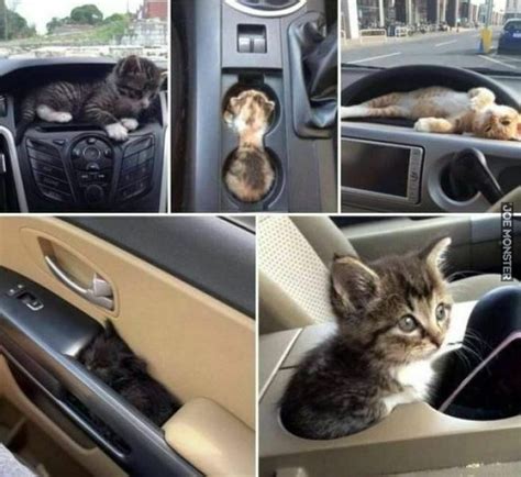 Приколы автомобильные / Приколы
