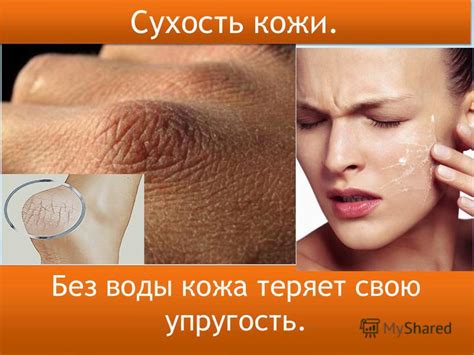 Презентация на тему: "Итак, приступим! Вода – источник жизни на планете ...