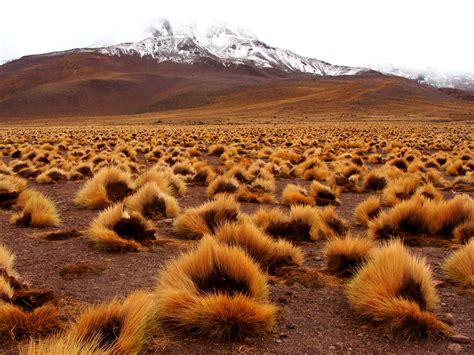El desierto: lugar de encuentro con lo profundo - Podcast