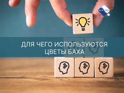 Цветы Баха: гармония души и тела через натуральные эссенции – МЦ Алтимед