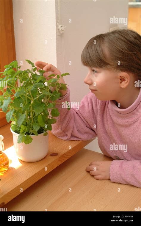 girl with herb balm Stock Photo - Alamy