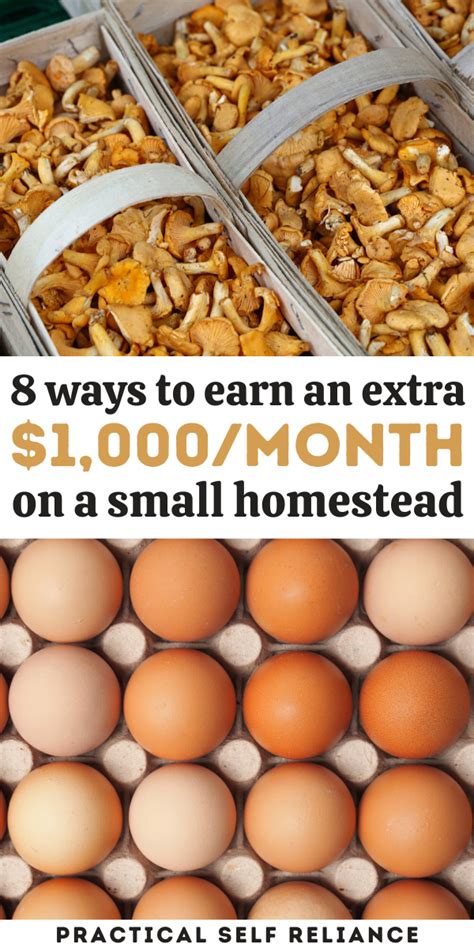 8 Ways to Make an Extra $1000 a Month On a Small Homestead ...