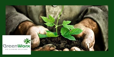 Green Worx's green cleaning products ensure a sustainable future